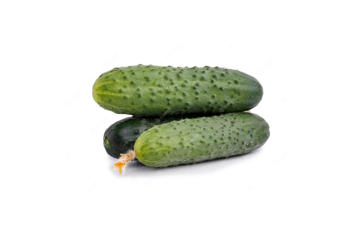 Огурец колючий